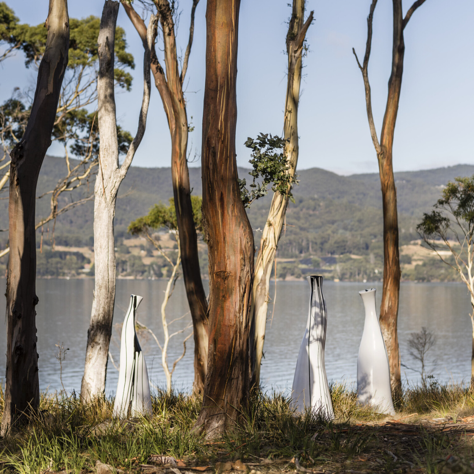 Vipp Tunnel – A striking and sustainable guesthouse set in Tasmania ...